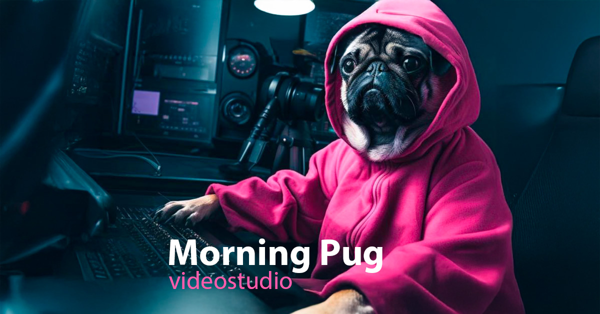 Morning Pug
